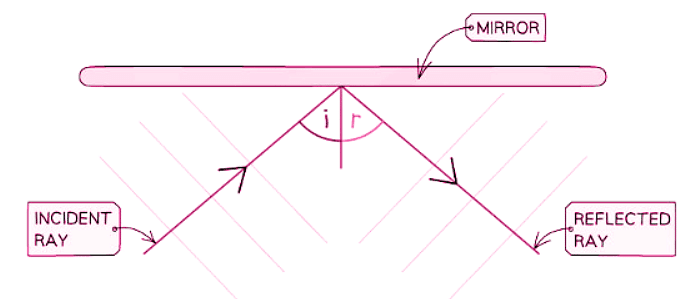 Ripple Tank - Physics for GCSE/IGCSE - Year 11 PDF Download