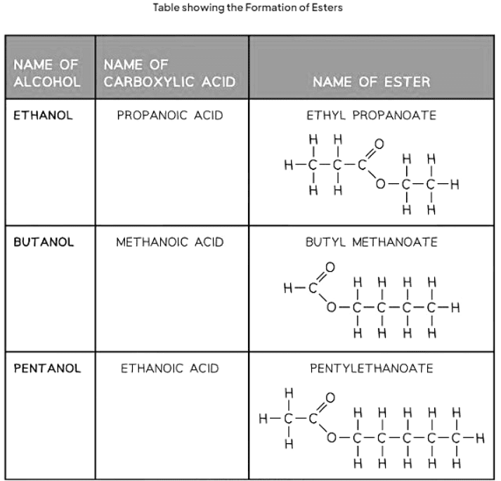 Ethanoic Acids and Esterification Reactions - Chemistry for Grade 11 ...
