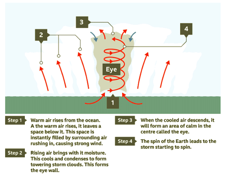 The Formation of Tropical Storms - Year 7 PDF Download