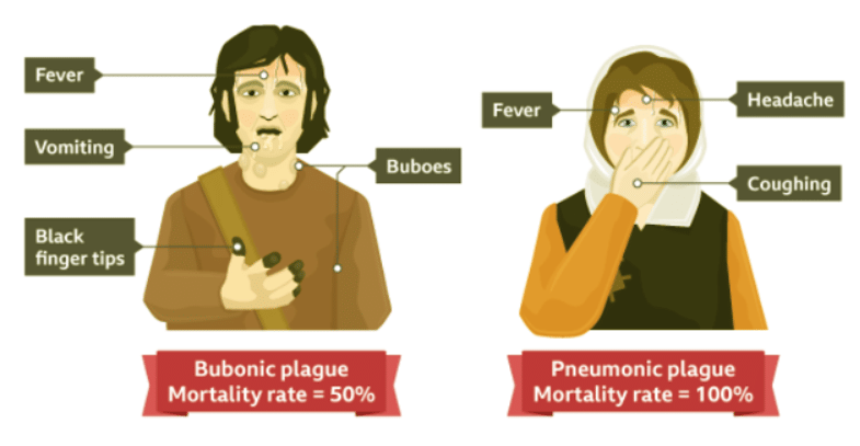 The Black Death - Year 7 PDF Download