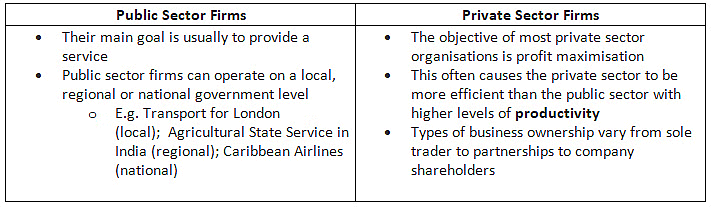Classification of Firms - Economics for GCSE/IGCSE - Year 11 PDF Download