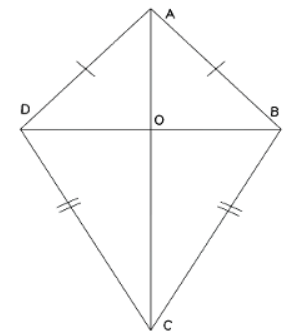 2D Shapes - Mathematics for GCSE/IGCSE - Year 11 PDF Download