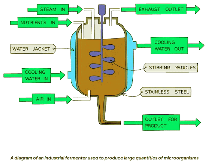Biotechnology - Biology for GCSE/IGCSE - Year 11 PDF Download