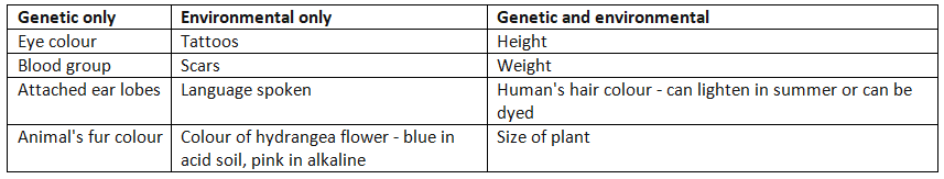 Causes of variation - Year 7 PDF Download