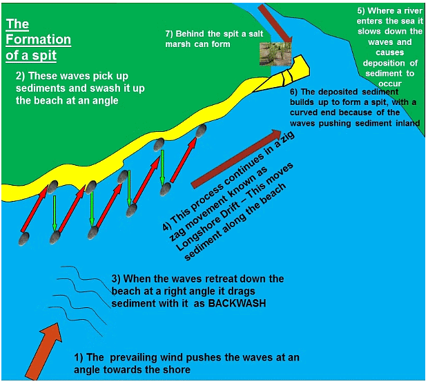 Coastal Landforms - Geography for GCSE/IGCSE - Year 11 PDF Download