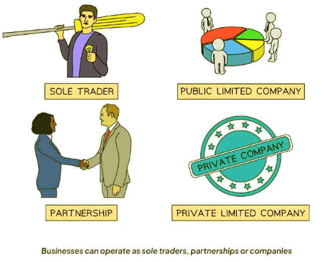 The Main Types of Ownership - Business Studies for GCSE/IGCSE - Year 11 ...