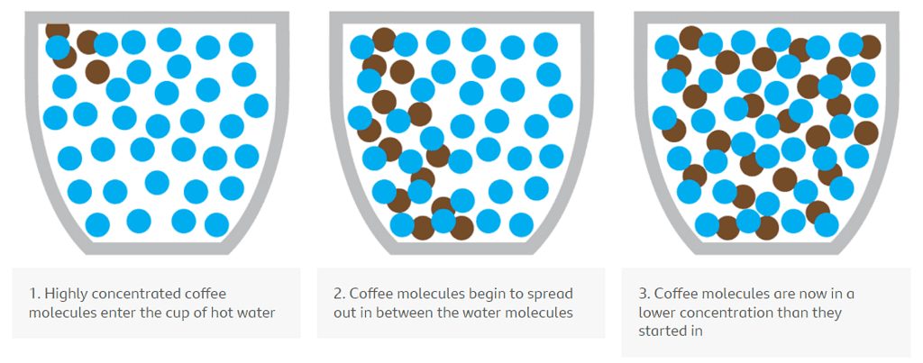 The Role of diffusion - Year 7 PDF Download