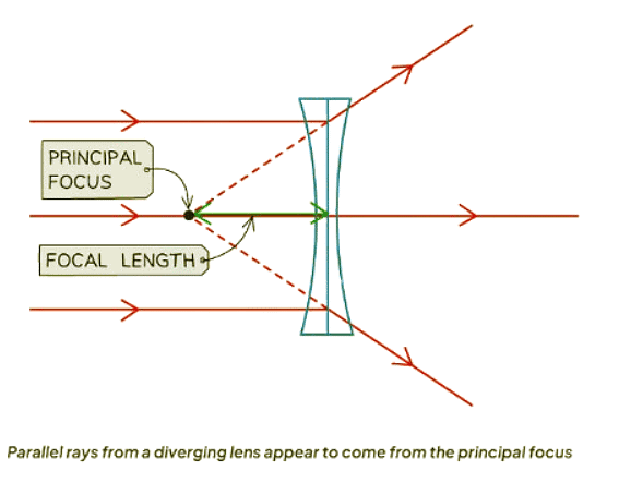 Thin Lenses - Physics for GCSE/IGCSE - Year 11 PDF Download