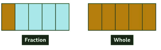What are Fractions? - Year 7 PDF Download