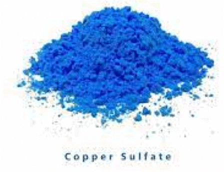 The pH Scale - Year 7 PDF Download