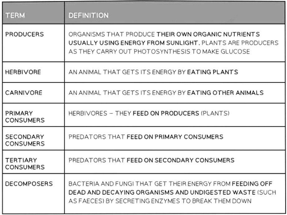 Food Chains and Food Webs - Biology for GCSE/IGCSE - Year 11 PDF Download