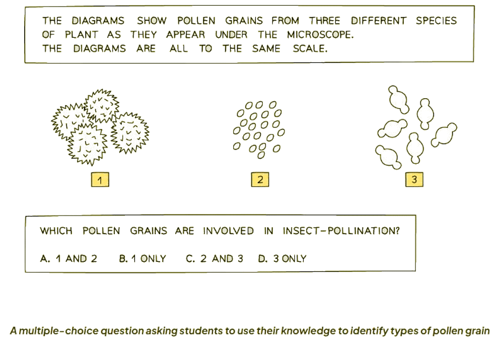 Sexual Reproduction in Plants - Biology for GCSE/IGCSE - Year 11 PDF ...