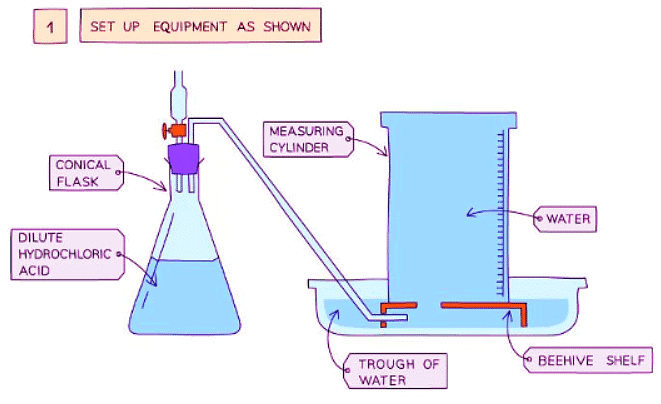 Investigating Rate of a Reaction - Chemistry for Grade 11 (IGCSE) PDF ...