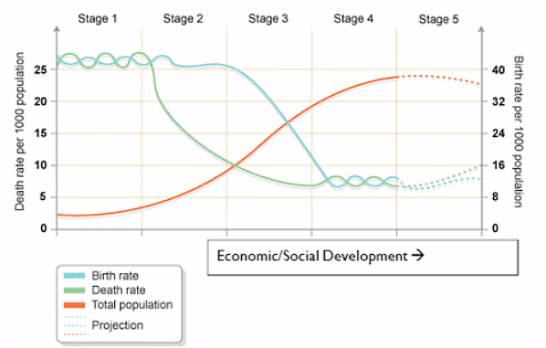 Population Dynamics - Geography for GCSE/IGCSE - Year 11 PDF Download