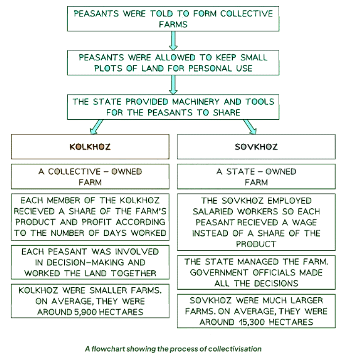 Why Did Stalin Introduce Collectivisation? - History for GCSE/IGCSE ...