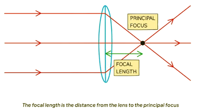 Thin Lenses - Physics for GCSE/IGCSE - Year 11 PDF Download