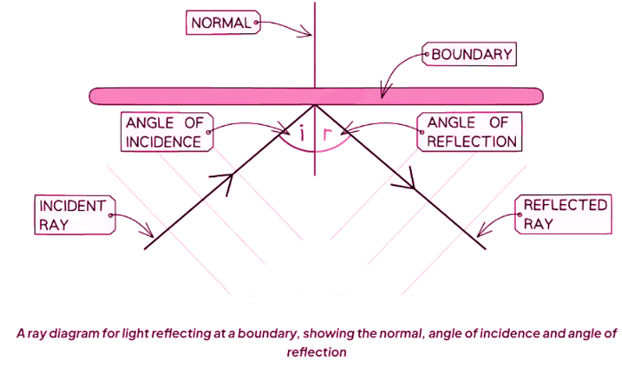 Reflection of Light - Physics for GCSE/IGCSE - Year 11 PDF Download