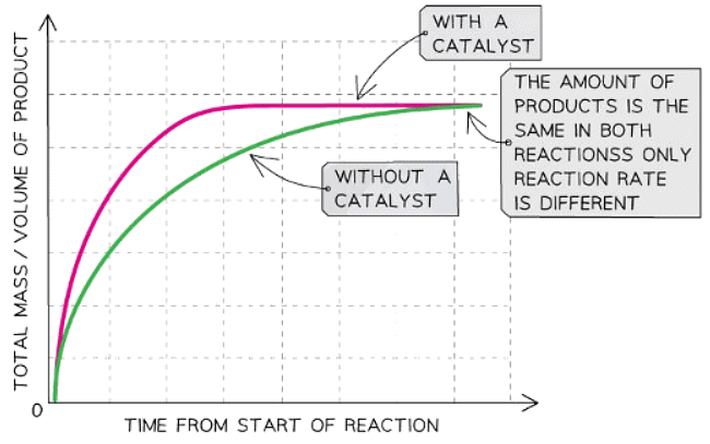 Rate of a Reaction - Chemistry for Grade 11 (IGCSE) PDF Download