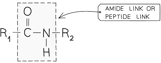 Amino Acids - Chemistry for Grade 10 PDF Download