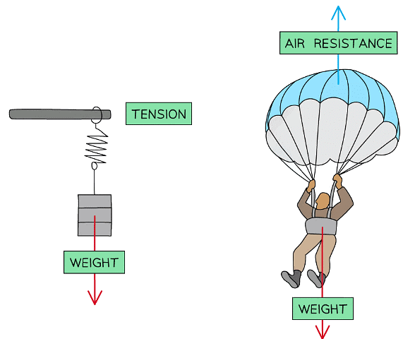 Resultant Forces and Free Body Diagrams - Physics for Grade 10 PDF Download