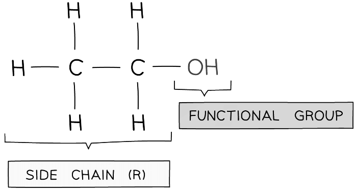 Alcohols - Reactions of Alkenes and Alcohols - Chemistry for Grade 10 ...