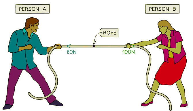 Resultant Forces & Free Body Diagrams - Notes | Study Physics for Grade ...