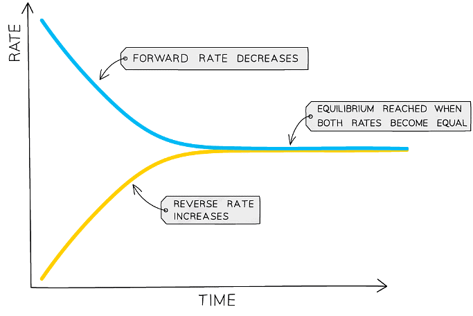 The Haber Process & Dynamic Equilibrium | Chemistry for Grade 10