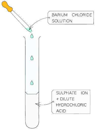 What are Sulfates? - Chemistry for Grade 10 PDF Download
