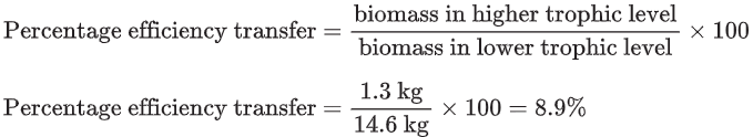 Transfer of Biomass - Biology for Grade 10 PDF Download