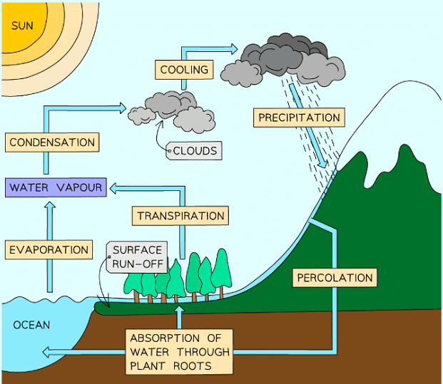 Carbon Cycle Diagram Gcse