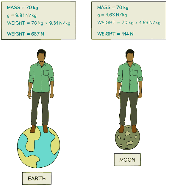 Calculating Weight | Physics for Grade 10