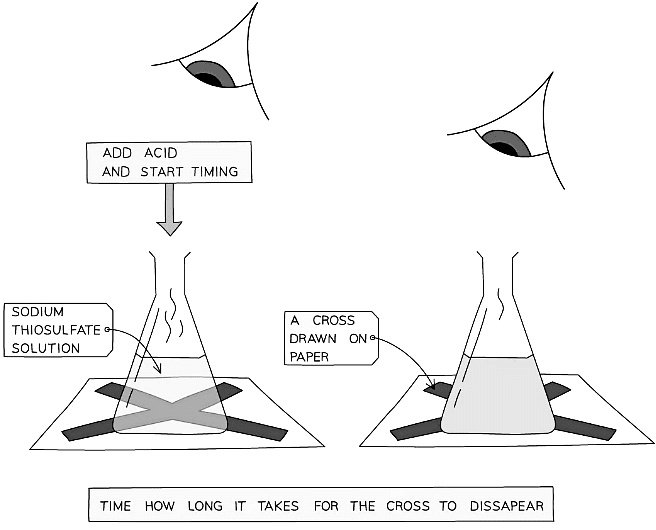 Calculating Rates of Reactions - Chemistry for Grade 10 PDF Download