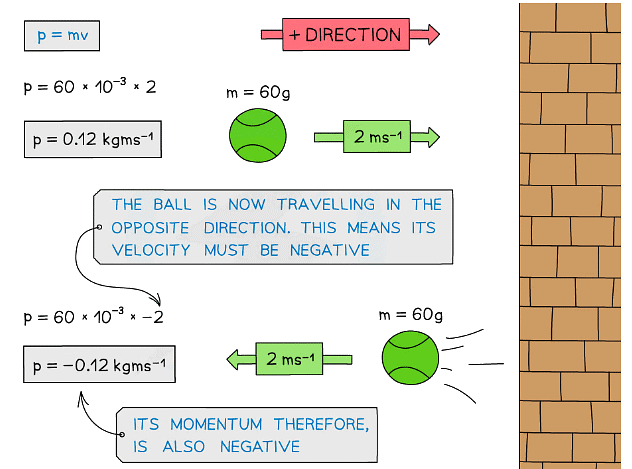 Momentum Physics