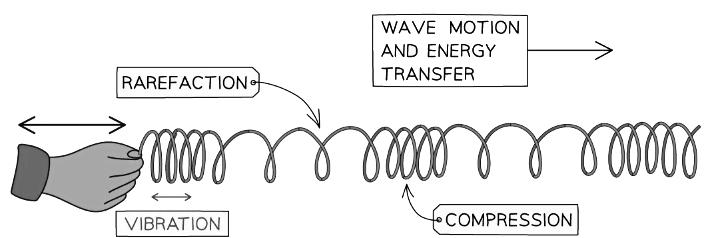 Transverse & Longitudinal Waves | Physics for Grade 10