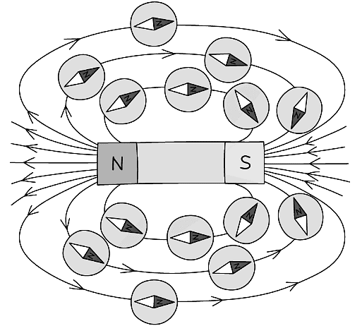 Magnetic Field & The Earth's Magnetic Field | Physics for Grade 10