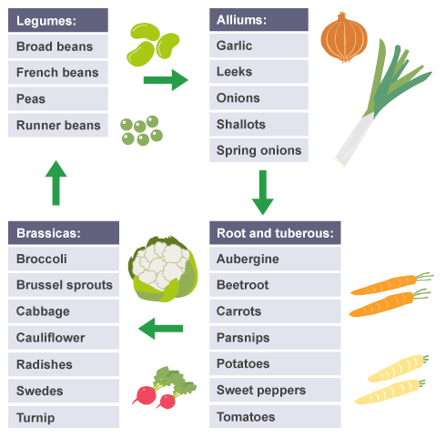 Factors Affecting Food Security & Farming Techniques | Biology for Grade 10