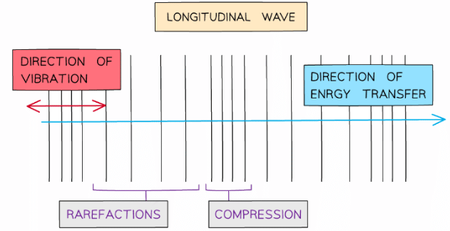Transverse and Longitudinal Waves - Physics for Grade 10 PDF Download