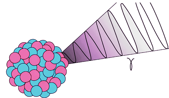 Alpha, Beta and Gamma Decay - Physics for Grade 10 PDF Download