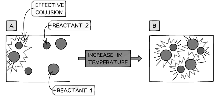 Collision Theory & Activation Energy | Chemistry for Grade 10
