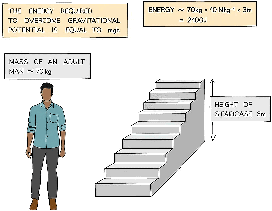 Physical Quantities and units - Physics for Grade 10 PDF Download