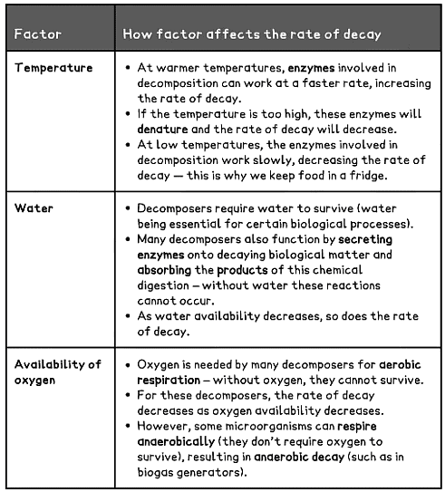 What is Decomposition? | Biology for Grade 10