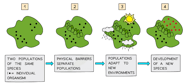 Speciation, Understanding of Genetics and Evidence for Evolution - Biology for Grade 10 PDF Download