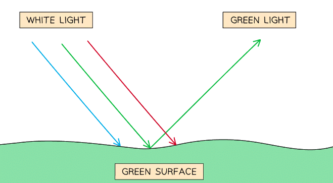 Visible Light Spectrum & Reflection of Light | Physics for Grade 10