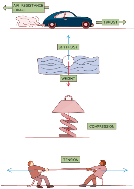 Contact and Non-Contact Forces - Physics for Grade 10 PDF Download