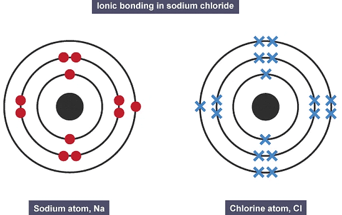Ionic Compounds - Chemistry for Grade 10 PDF Download