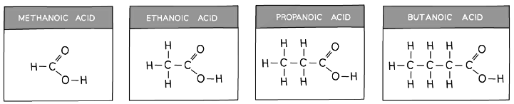 Carboxylic Acids - Chemistry for Grade 10 PDF Download