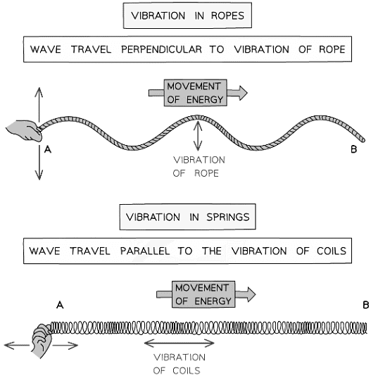 Transverse and Longitudinal Waves - Physics for Grade 10 PDF Download