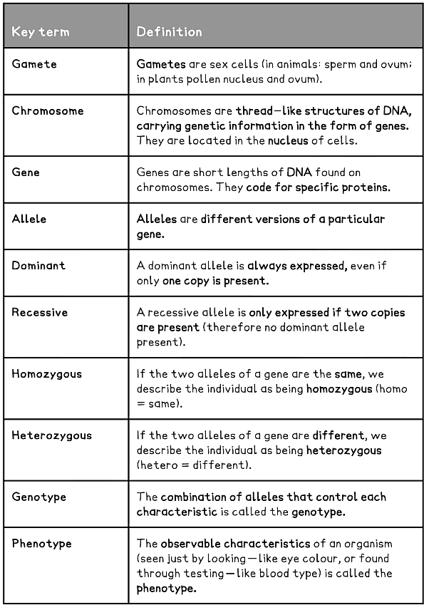 Genetic Inheritance - Biology for Grade 10 PDF Download
