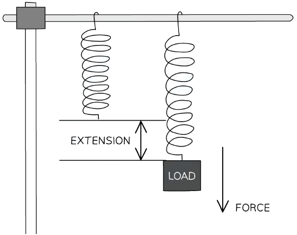 Elastic Potential Energy - Notes | Study Physics for Grade 10 - Grade 10