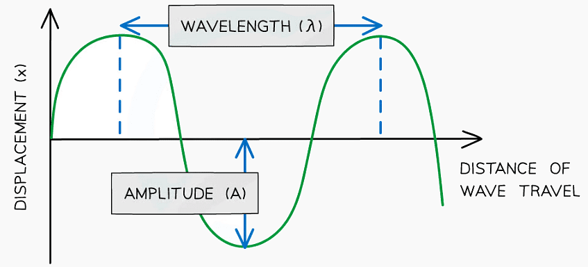 Longitudinal & Transverse Waves | Physics for Grade 12